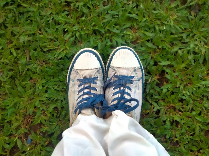 A pair shoes on the grass stock image. Image of shoes - 263295569