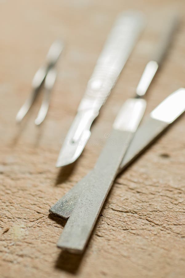 Small Rasps Stock Photos - Free & Royalty-Free Stock Photos from Dreamstime