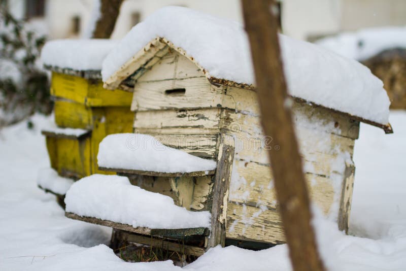 A Pair of Snow Covered Bee Hives. Apiary in Wintertime. Beehives ...