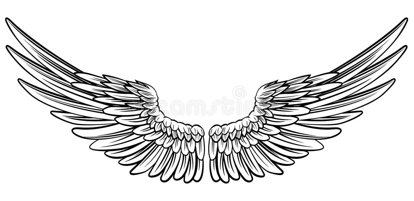 Angel Spread Wings Stock Illustrations – 1,881 Angel Spread Wings Stock ...