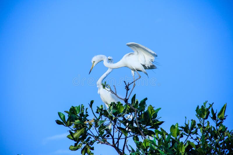 728 More Calendar Images Stock Photos - Free & Royalty-Free Stock ...