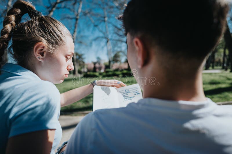 Focused Students Reviewing Notes Together in a Sunny Park Stock Photo ...