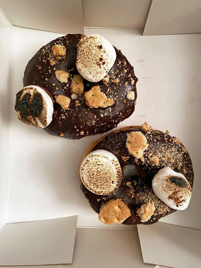 Pair of Tempting Chocolate, Cracker and Marsh Mellow Smores Donuts ...