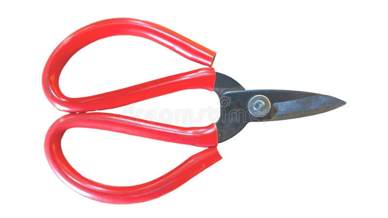 A Pair of Toad Scissors or Fabric Scissors Isolated Stock Image - Image ...