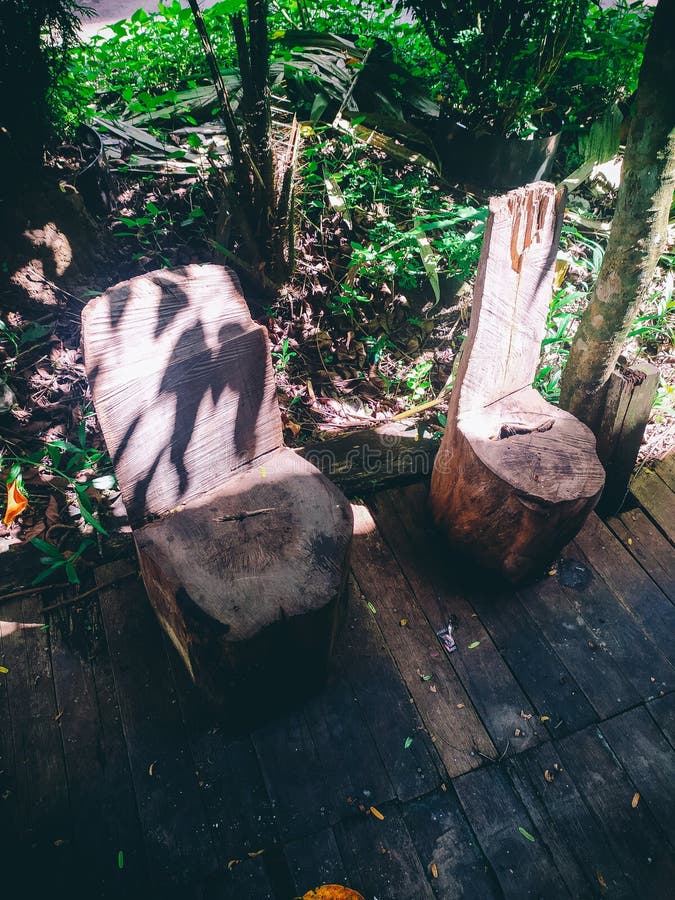 A Pair of Tree Trunk Chairs for Relaxing Stock Photo - Image of chairs ...