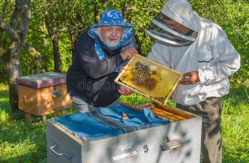 Pair of Ukrainian Bee-keepers at Work Place Stock Image - Image of ...