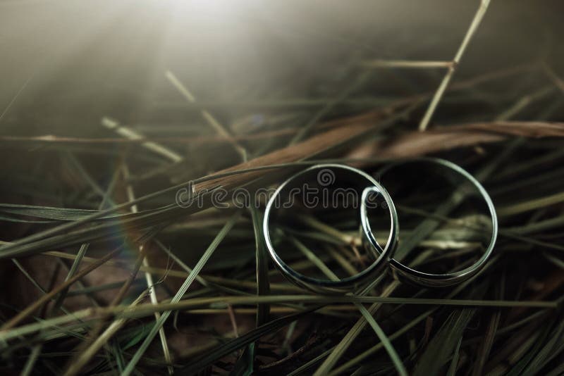 A Pair of Wedding Rings with Bokeh Background Stock Photo - Image of ...