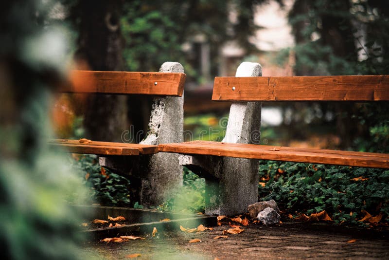 Pair of Wooden Benches in the Forest. Stock Photo - Image of season ...