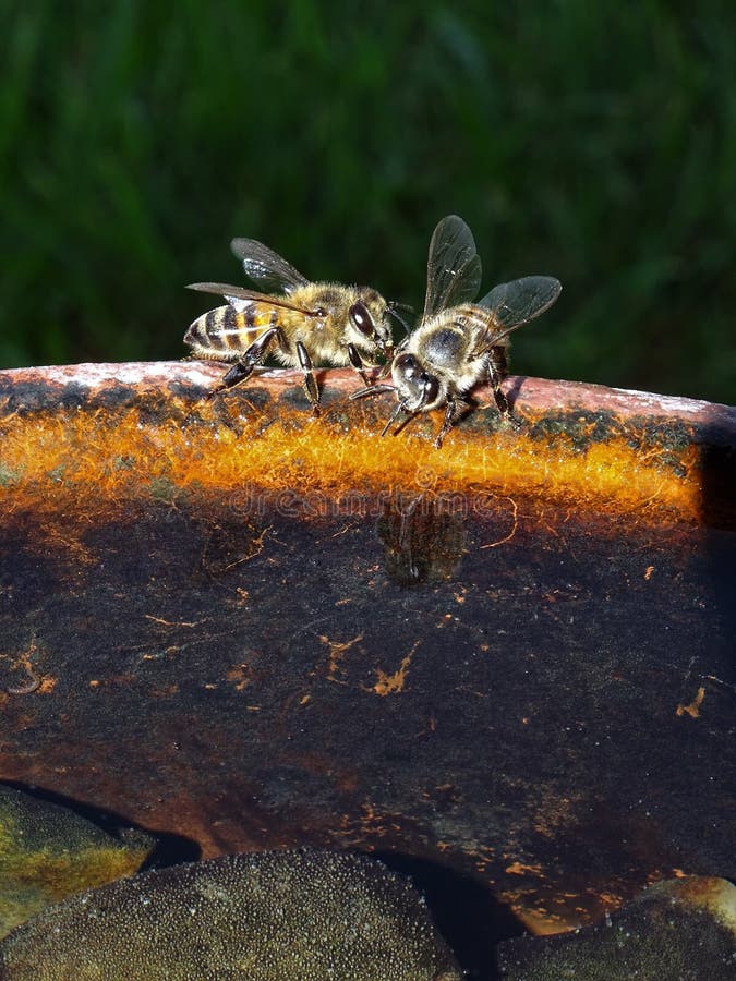 James Twedt (Jamesronaldart) - Photographer profile