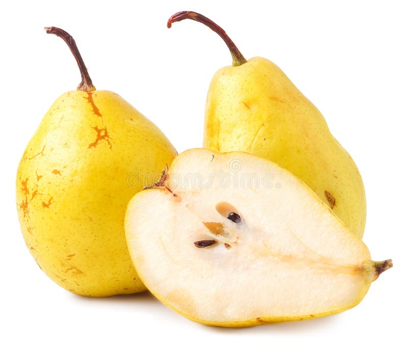 Pair of pears ripe stock photo. Image of fruits, ripening - 7642932