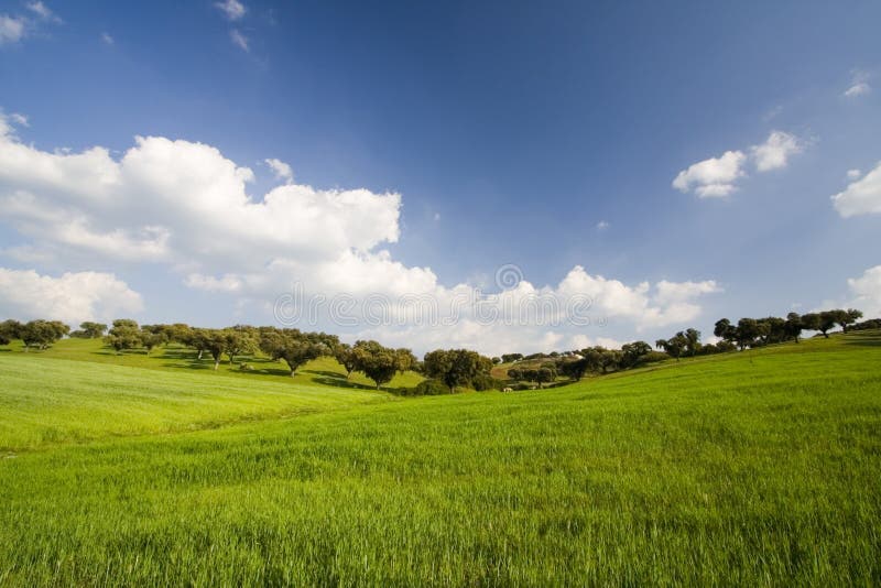 Paisagem verde e céu azul foto de stock. Imagem de farinha - 25912732