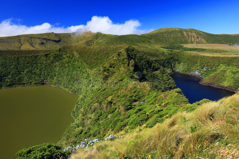 Paisagem Com Lagoa Funda E Lagoa Comprida Na Ilha De Flores Foto de ...