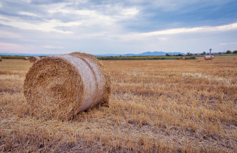 Paisagem com rolo do feno imagem de stock. Imagem de outono - 113626511