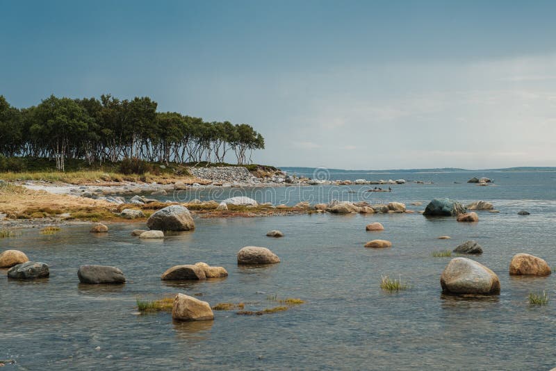 Paisagem Do Mar Do Norte Nas Ilhas Solovetsky Foto de Stock - Imagem de ...