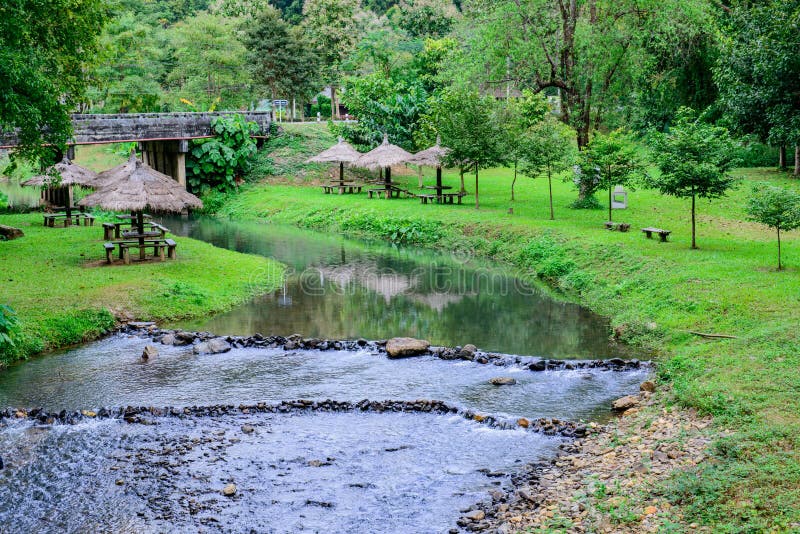 Paisagem Do Parque Nacional Phu Sang Foto de Stock - Imagem de verde ...