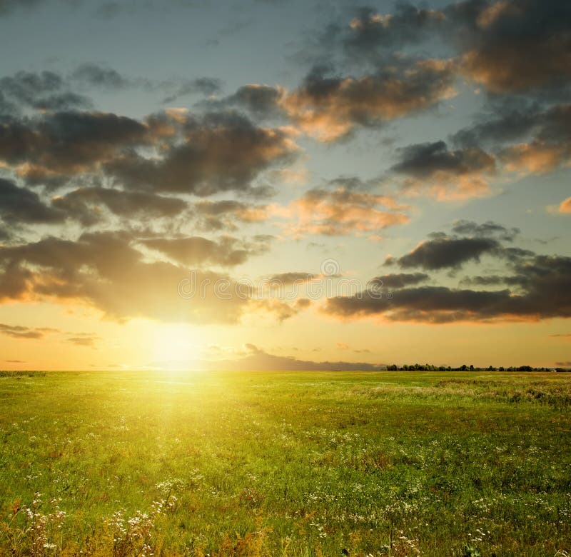 Paisagem Ao Pôr Do Sol De Verão Foto de Stock - Imagem de céu, sunlight ...