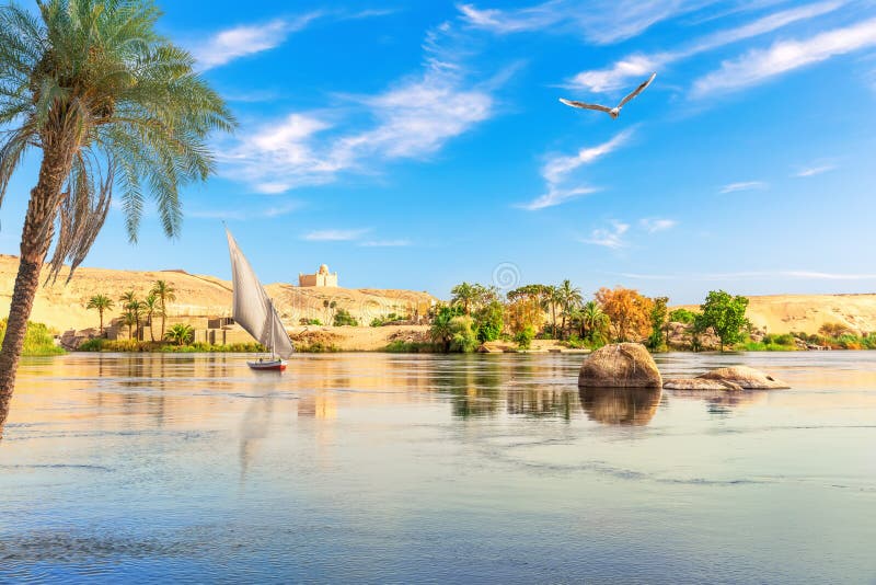 Paisagem Pitoresca Do Rio Nilo No Egito Da Cidade De Aswan Imagem de ...