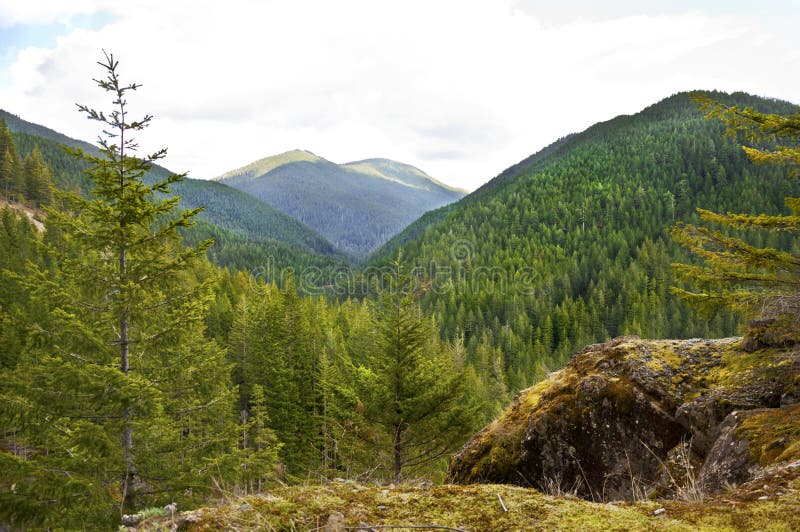 Paisagem Preservada Da Floresta Da Montanha Imagem de Stock - Imagem de ...