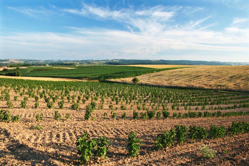 Paisagem rural imagem de stock. Imagem de rural, paisagem - 2720257