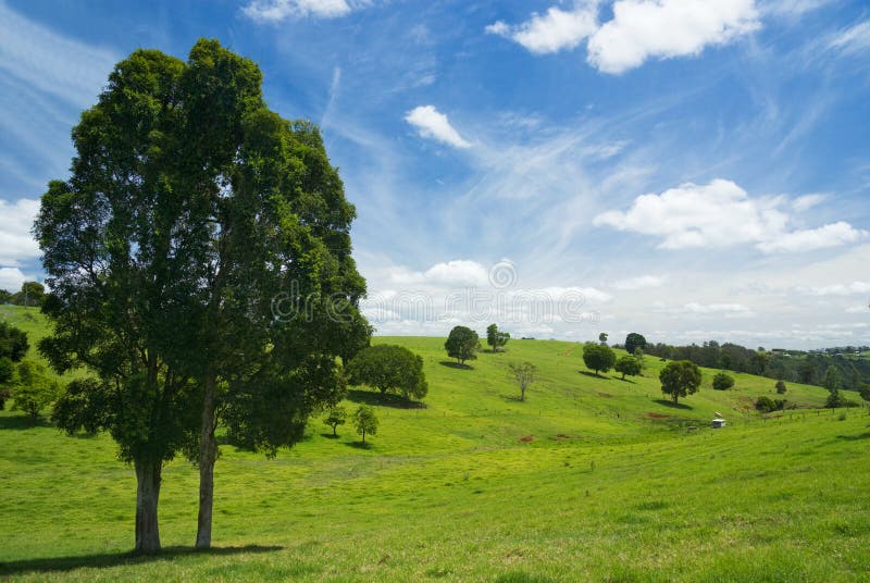 Paisagem rural foto de stock. Imagem de grama, ninguém - 28853486