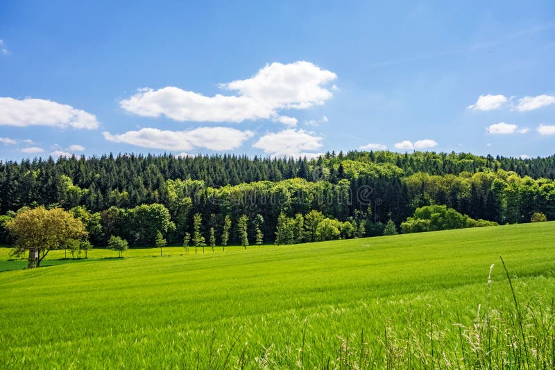 Paisagem rural foto de stock. Imagem de exterior, grama - 59473326