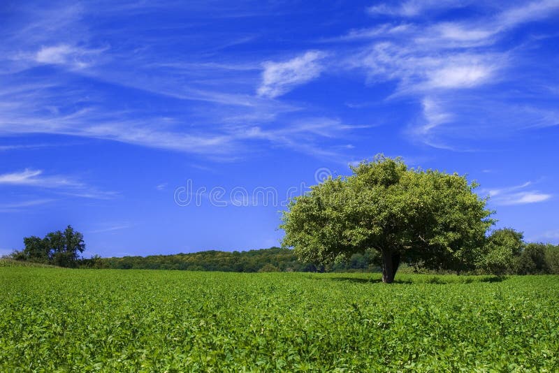 Paisagem Verde e Azul imagem de stock. Imagem de nuvens - 3561957