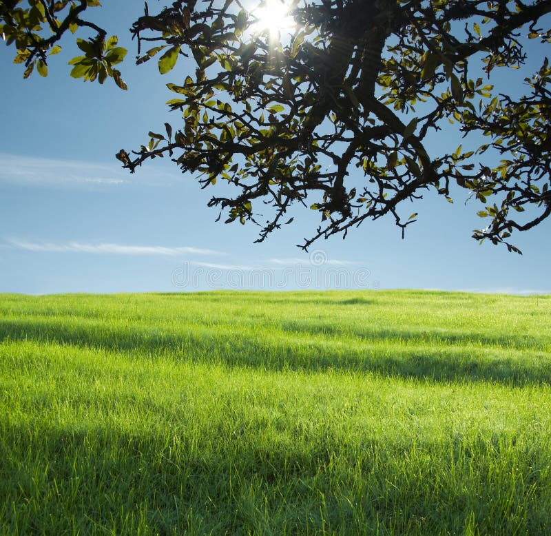Paisagens rurais foto de stock. Imagem de mola, chuva - 2699198