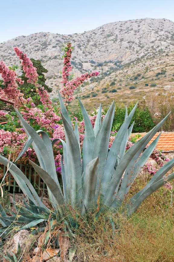 Paisaje imagen de archivo. Imagen de roca, paisaje, hierba - 12569601