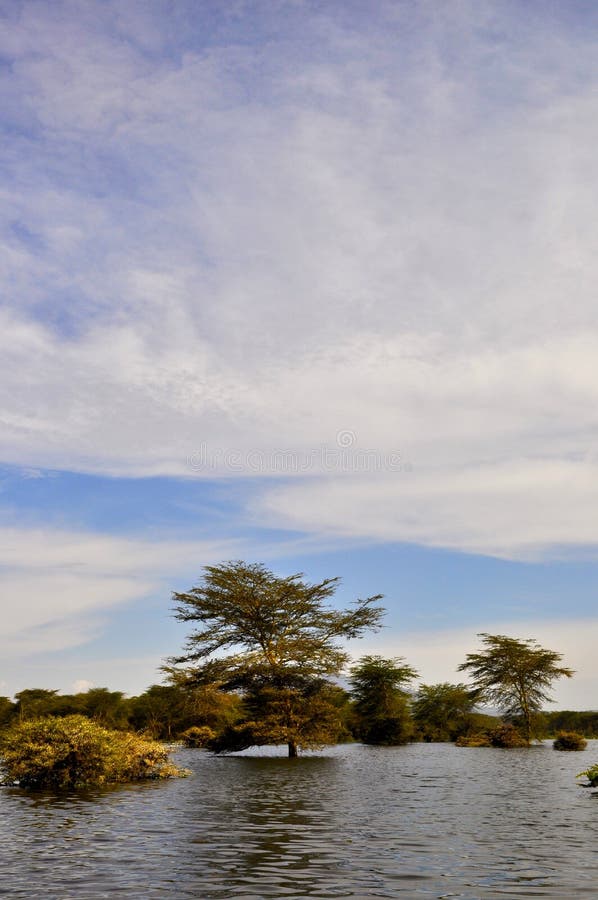 Paisaje africano del yermo imagen de archivo. Imagen de santuario ...