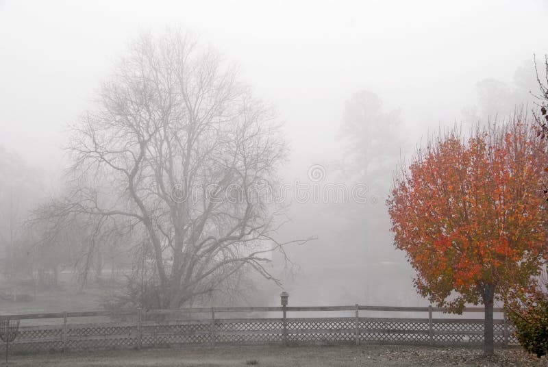 Paisaje brumoso imagen de archivo. Imagen de hojas, charca - 11990577