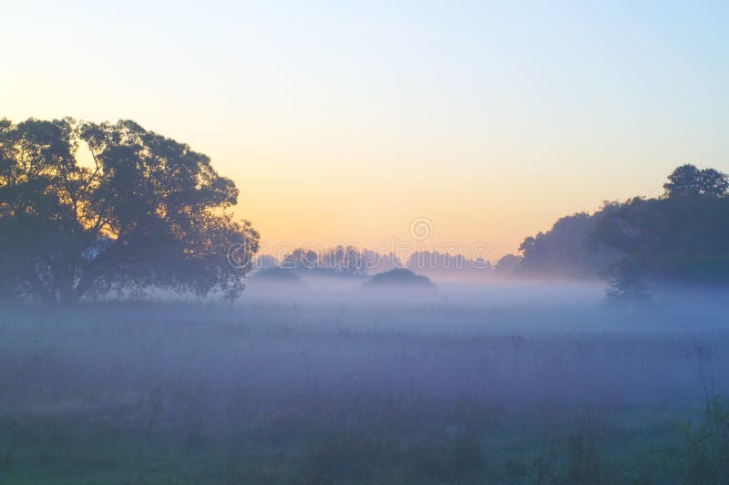Paisaje brumoso imagen de archivo. Imagen de cubo, matorrales - 1341507