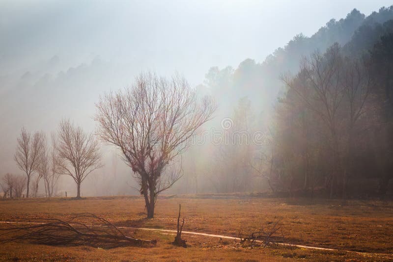 Paisaje brumoso de Galicia foto de archivo. Imagen de travieso - 60369700