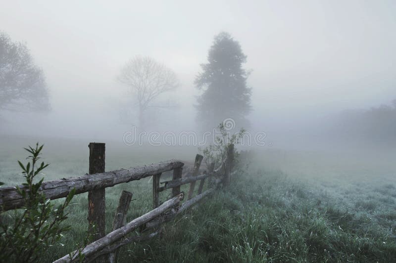 Paisaje brumoso imponente foto de archivo. Imagen de escénico - 19829120
