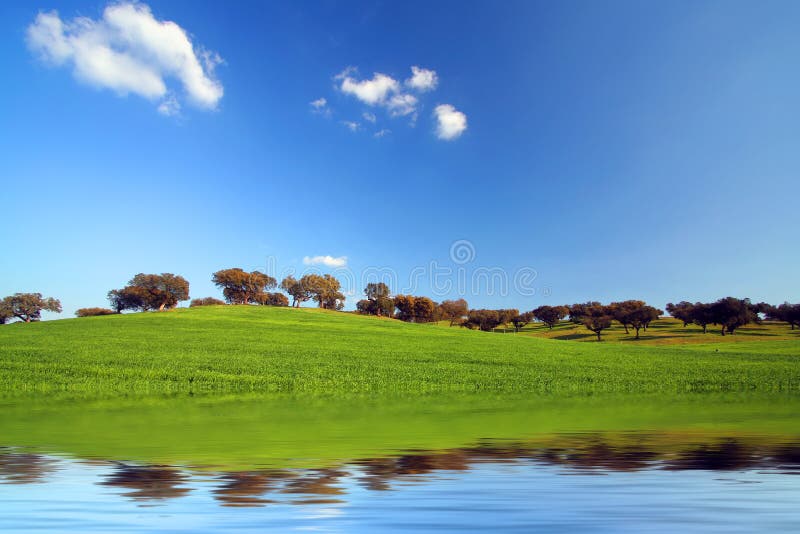 Paisaje con colores vivos foto de archivo. Imagen de maizal - 2601698