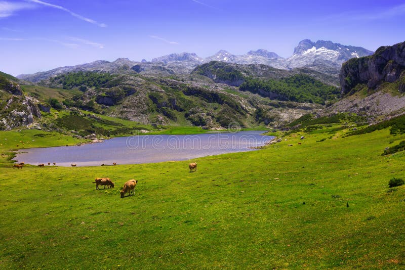 Paisaje Con El Lago Y El Pasto Imagen de archivo - Imagen de salvaje ...