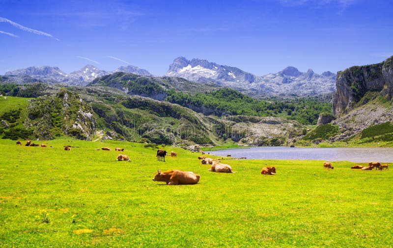 Paisaje Con El Lago Y El Pasto Imagen de archivo - Imagen de glacial ...