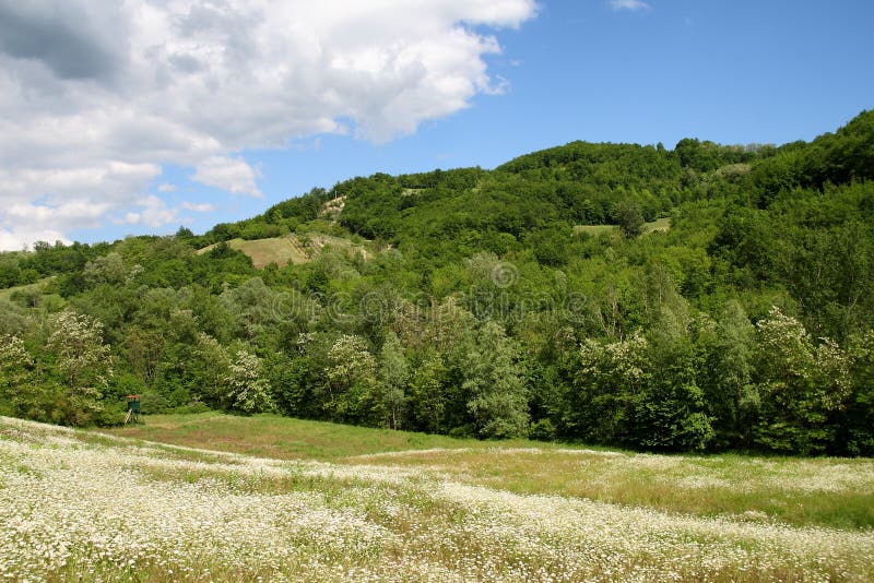 Paisaje con la colina imagen de archivo. Imagen de verde - 40824363