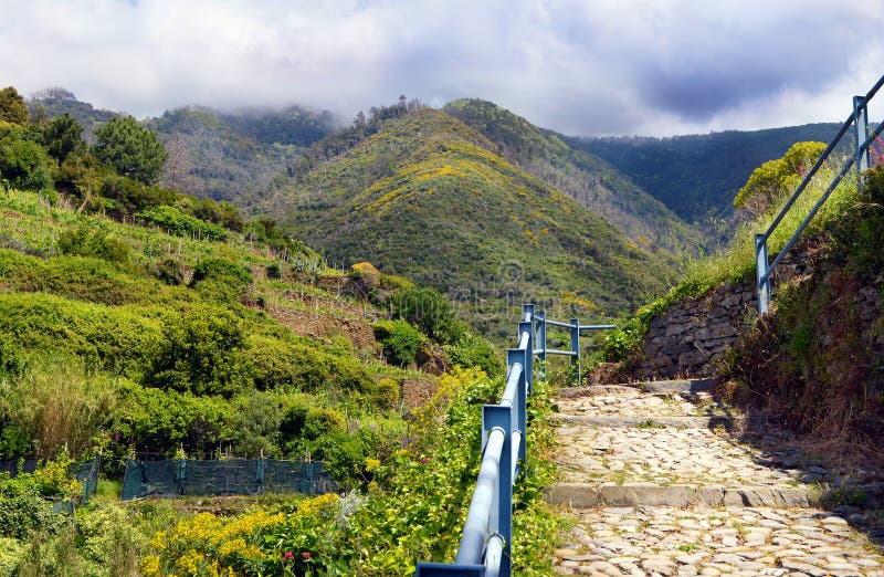 Paisaje Con Las Vides En La Ladera Foto de archivo - Imagen de cuesta ...