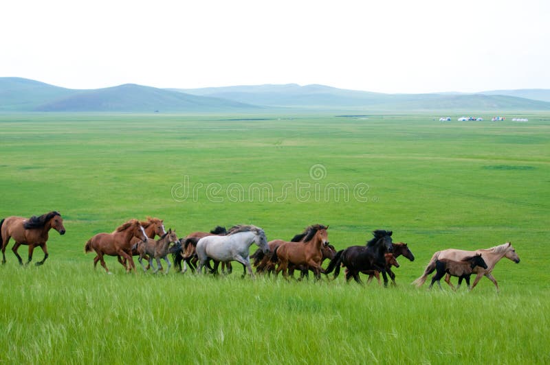 Paisaje de Hulunbeir imagen de archivo. Imagen de chino - 17425565