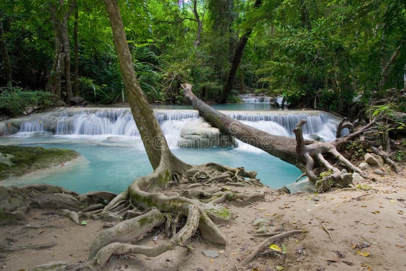Paisaje de la selva foto de archivo. Imagen de transparente - 3926916