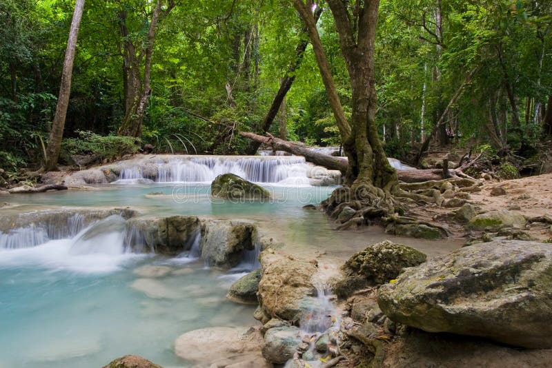 Paisaje de la selva imagen de archivo. Imagen de bosque - 3970057