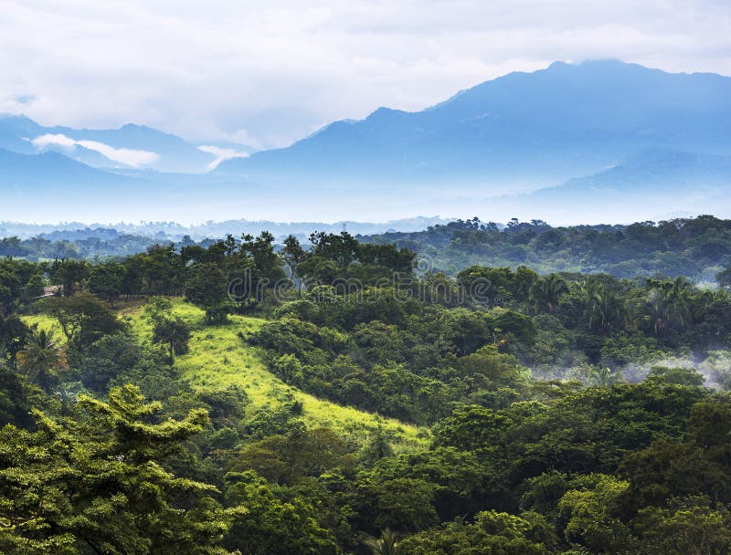 Paisaje De La Selva De México Foto de archivo - Imagen de verde, cielo ...