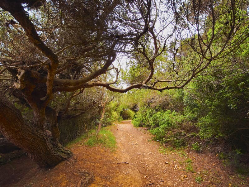 Paisaje de Minorca imagen de archivo. Imagen de escena - 37943437