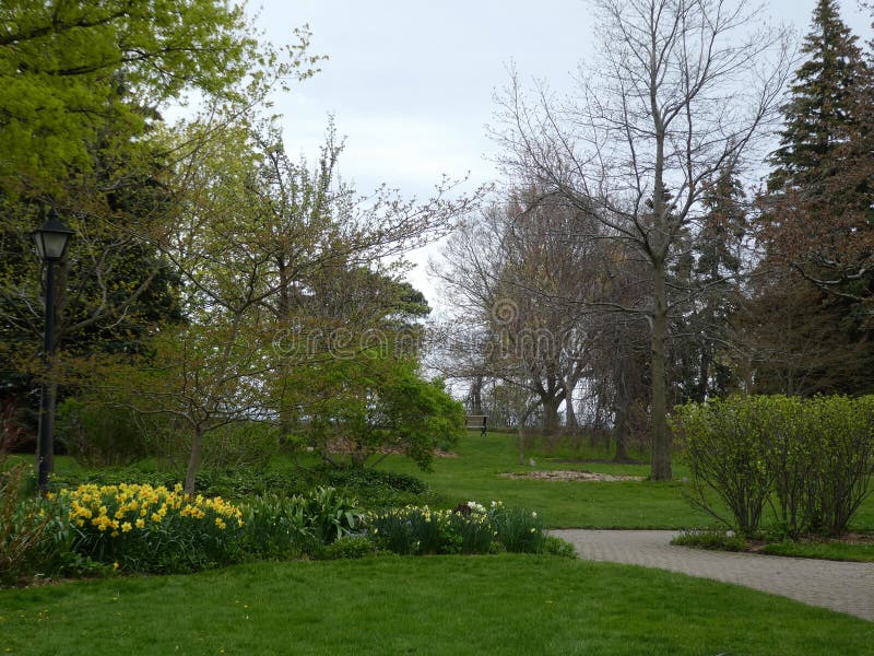 Paisaje de parque imagen de archivo. Imagen de hoja - 218346873