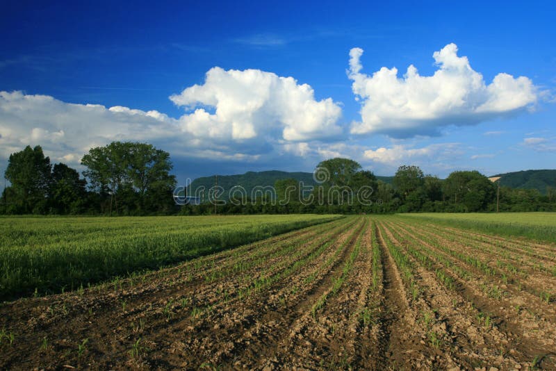Paisaje de un campo imagen de archivo. Imagen de novia - 2191031