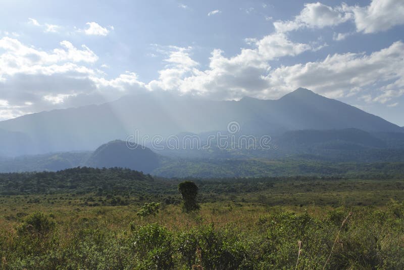 El Monte Meru, Parque Nacional De Arusha, Tanzania Imagen de archivo ...