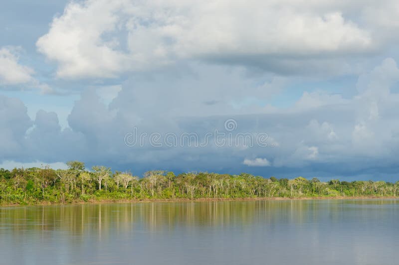 Paisaje Del Río Amazonas En El Brasil Foto de archivo - Imagen de agua ...