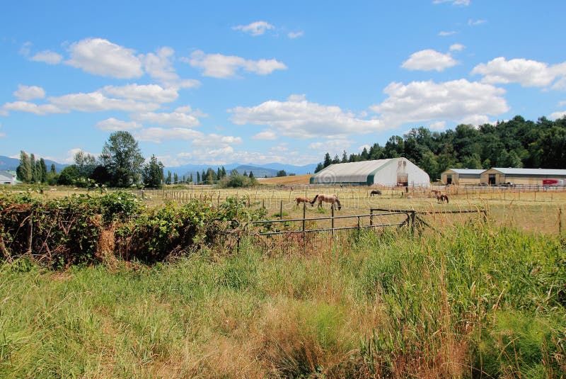 Paisaje Del Rancho Del Verano Foto de archivo - Imagen de amplio ...