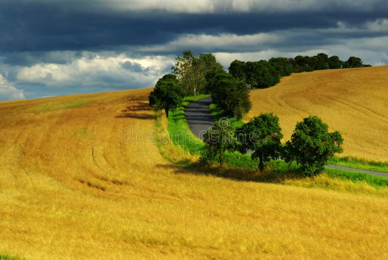 Paisaje del verano foto de archivo. Imagen de europeo - 10475416