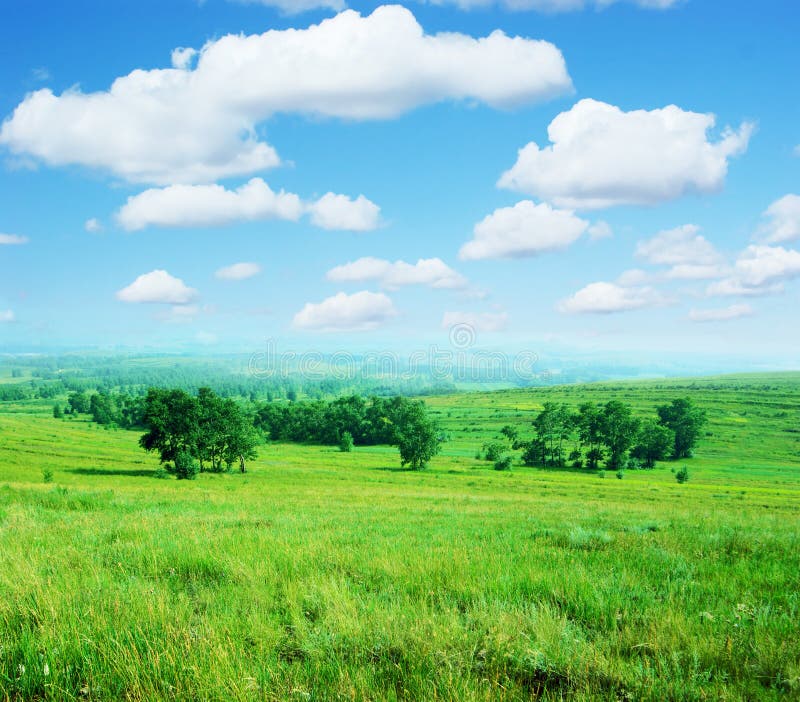 Paisaje del verano imagen de archivo. Imagen de brillante - 21706685